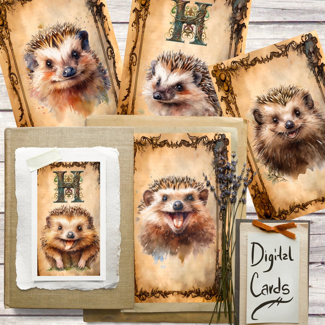 12 Hedgehog Postcard Pack Digital Ephemera Instant Download Card for ...