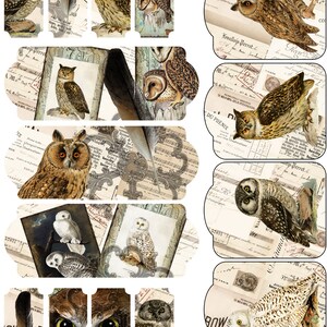 Digital Owl Ephemera Pack Junk Journal Printable Bird Paper Scrapbook Card Pocket Digital Tag ...