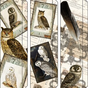 Digital Owl Ephemera Pack Junk Journal Printable Bird Paper Scrapbook Card Pocket Digital Tag ...