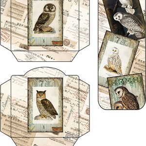 Digital Owl Ephemera Pack Junk Journal Printable Bird Paper Scrapbook Card Pocket Digital Tag ...