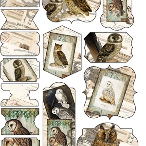 Digital Owl Ephemera Pack Junk Journal Printable Bird Paper Scrapbook Card Pocket Digital Tag ...