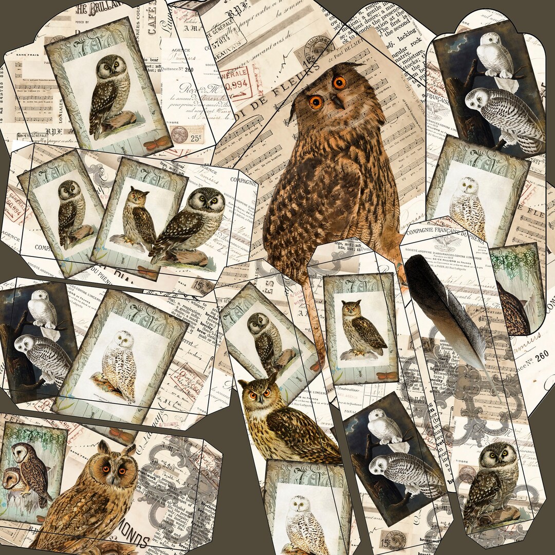 Digital Owl Ephemera Pack Junk Journal Printable Bird Paper Scrapbook Card Pocket Digital Tag ...