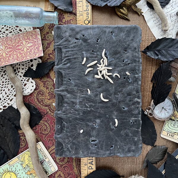 Maggots - Etsy