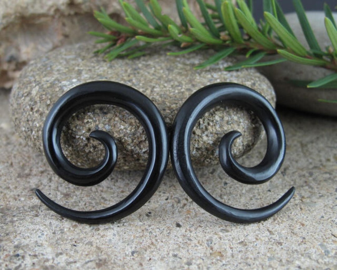 Pair of 8G- 3mm Simple Horn Spirals, Black , Horn Earrings,gothic ...