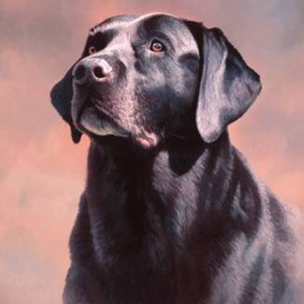 Lab Quilt Panel - Etsy