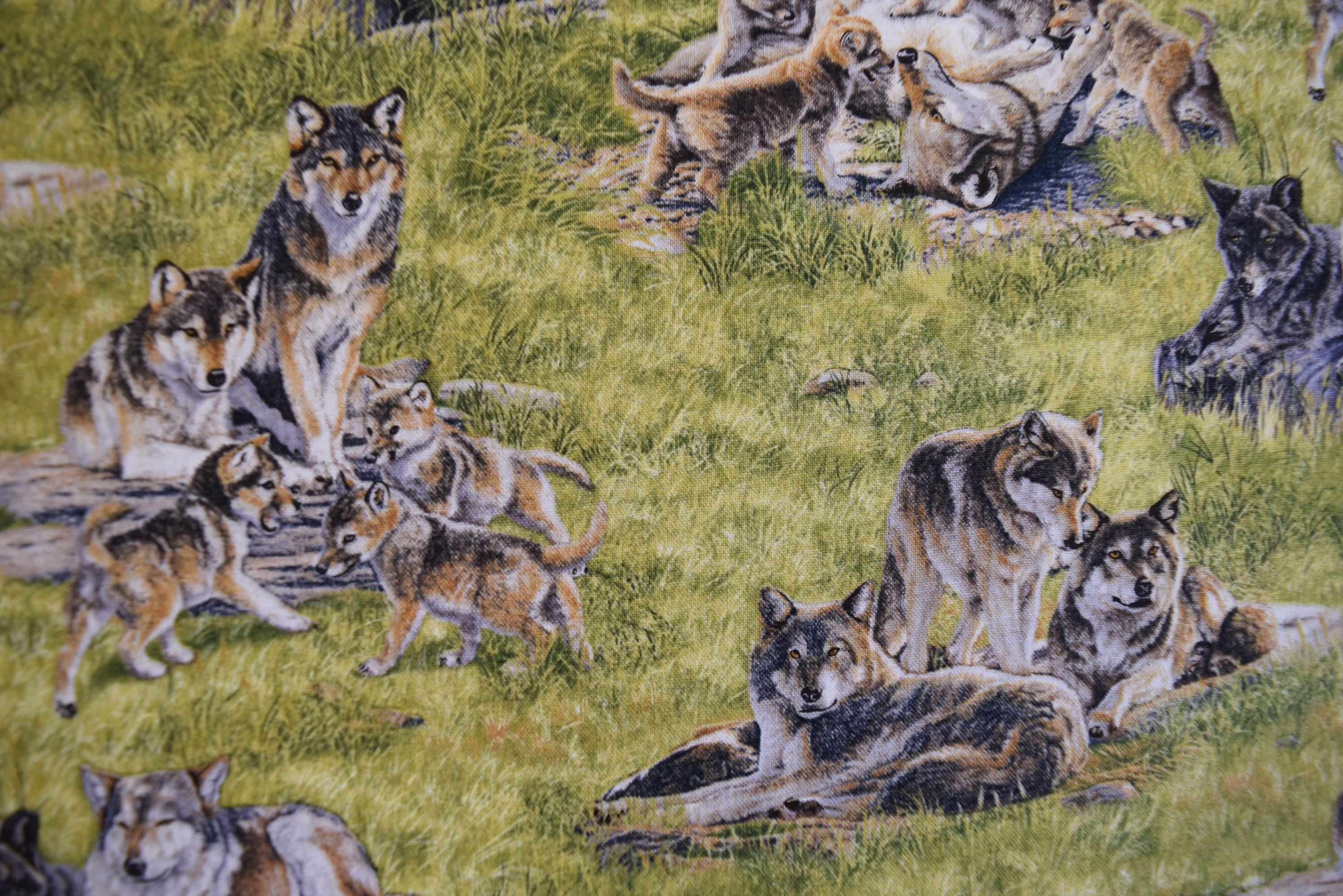 Al Agnew Spirit Of The Pack