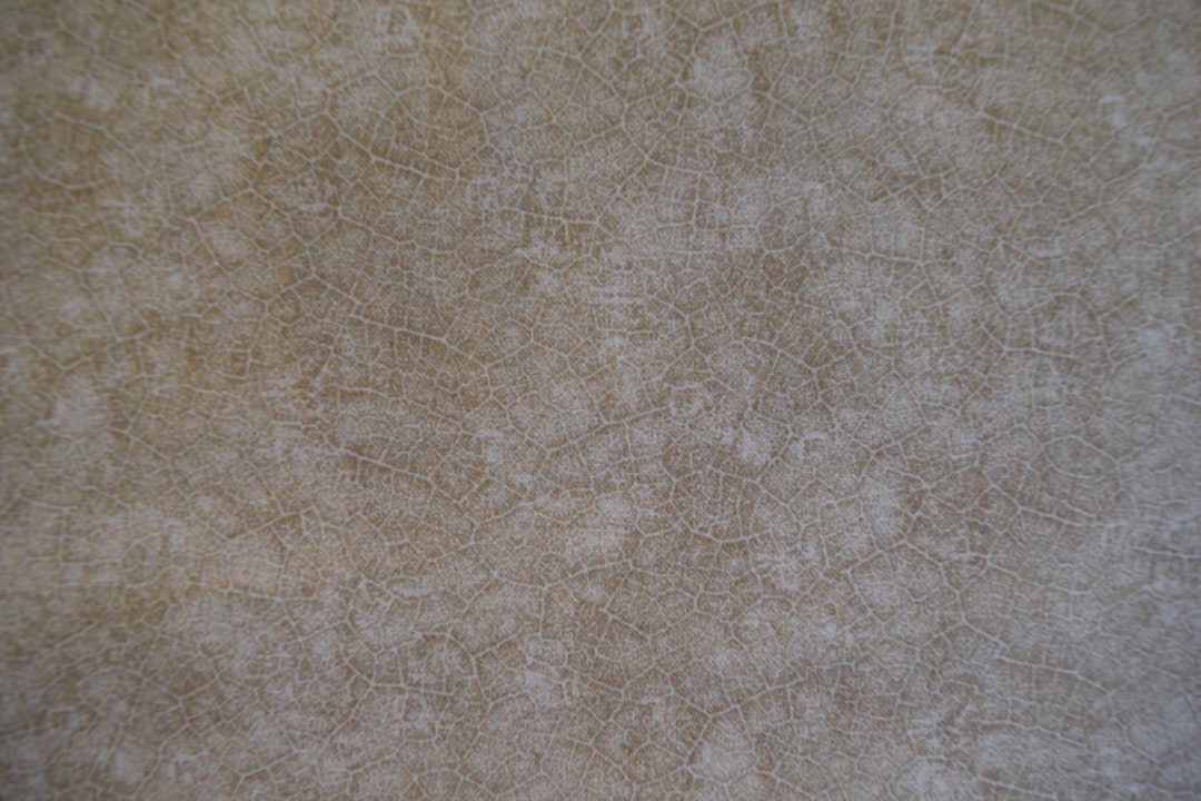 Beige Crackle is From the Frolicking Fields Collection by Paint Brush ...