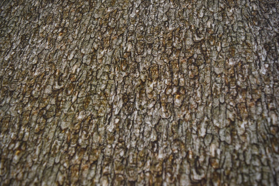 Tree Bark Cotton Fabric by Elizabeth Studio. Fabric by the Yard #1186 ...