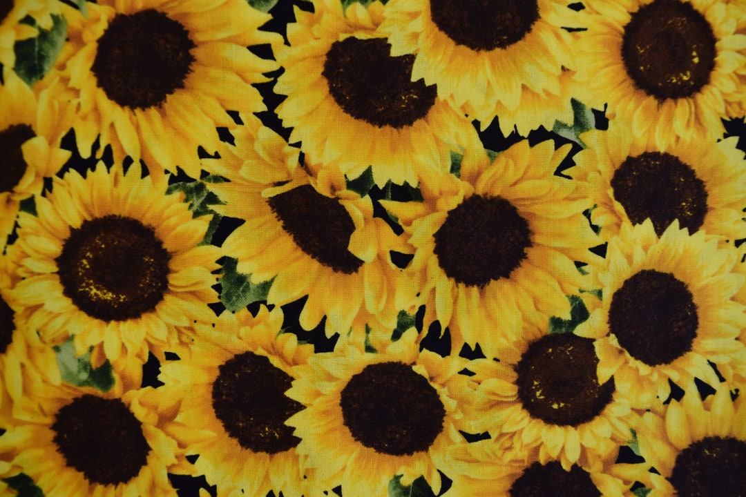 Sunflowers From the Fleur Collection by Timeless Treasures. Fabric by the Yard #2226 - Etsy