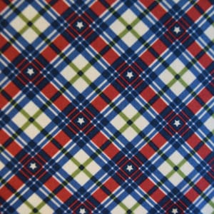 Cowboy Plaid From the Kick off Your Boots Collection by Barbara J ...