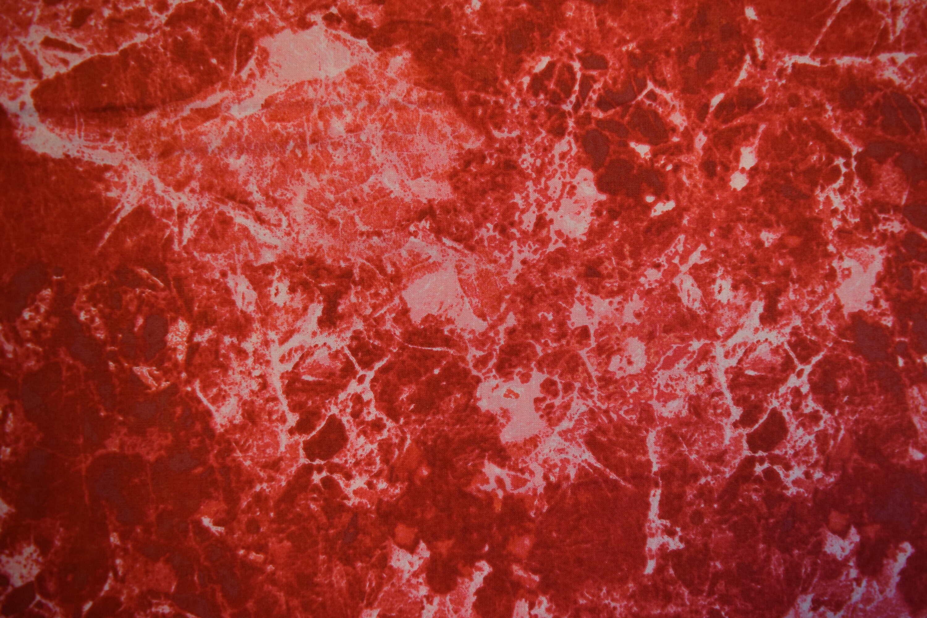 Garnet Red Marblehead by Ro Gregg for Paintbrush Studio. Fabric by the ...