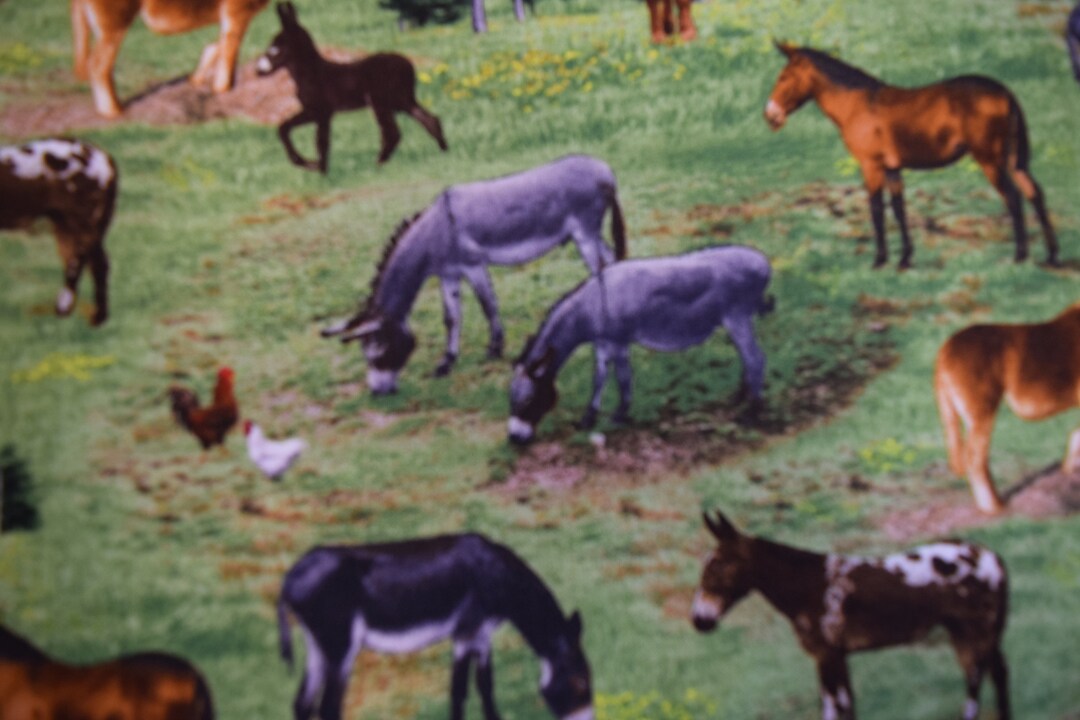 Donkeys From the Farm Animal Collection by Elizabeth's Studio, Donkeys ...