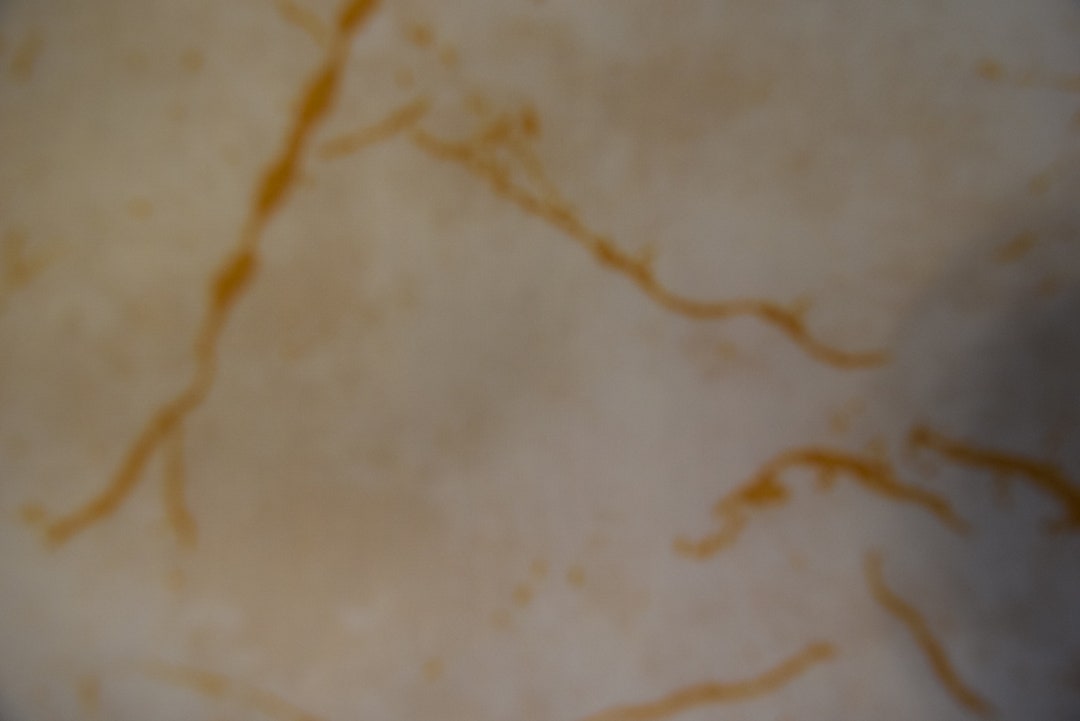 Peach Stone Look From the Pietra Collection by Glucy Gluce for Andover ...