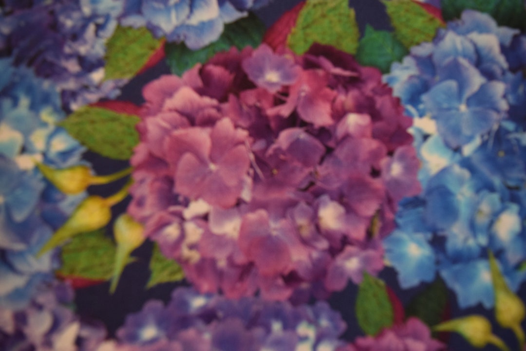 Hydrangeas From the Hydrangea Blooms Collection by Quilting Treasures ...