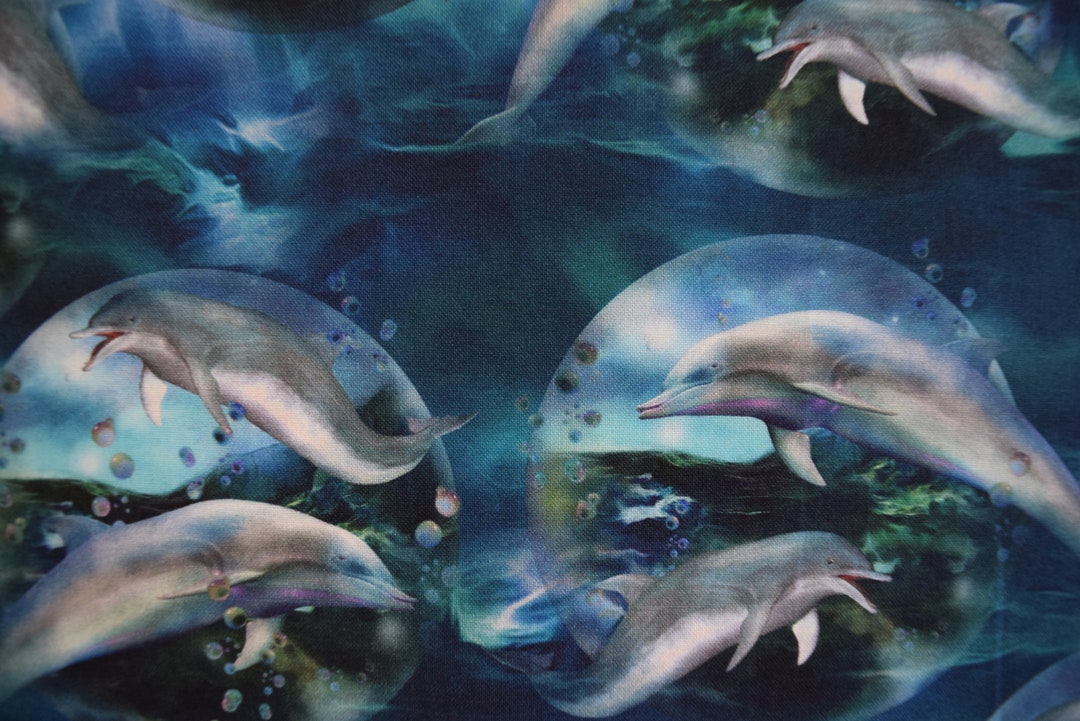 Dolphins From the Dazzling Dolphins Collection by Carol Cavalaris for ...