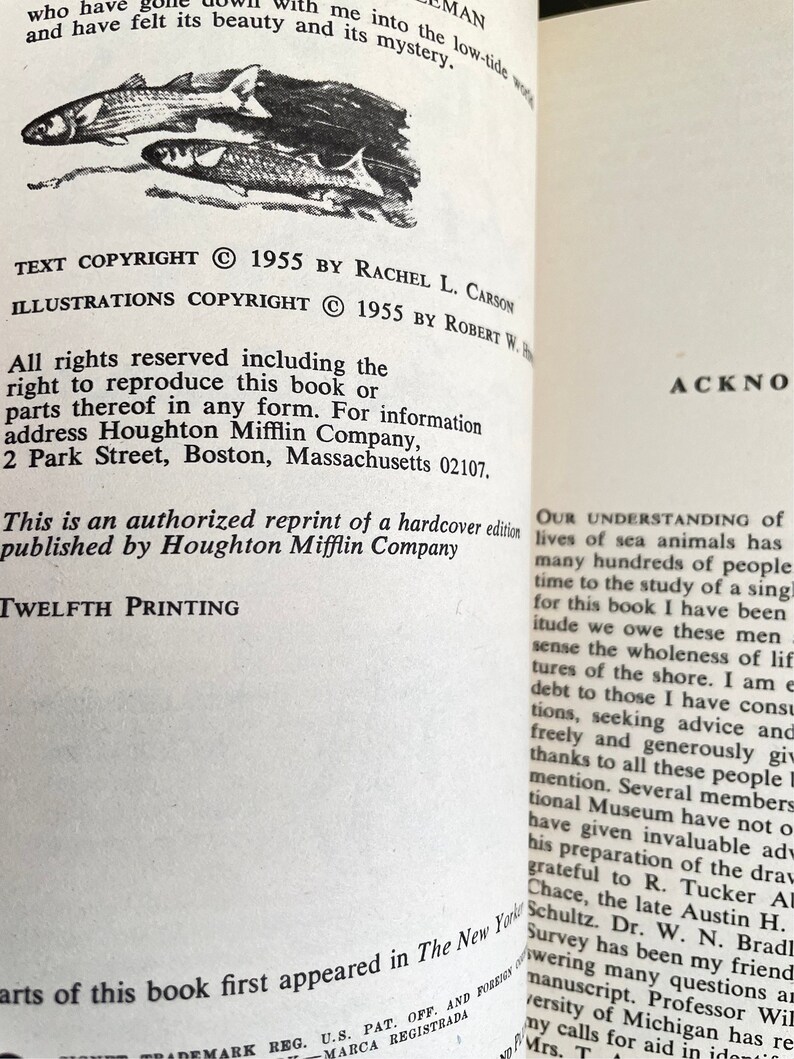 Vintage Science: the Edge of the Sea by Rachel Carson, 12th Printing ...