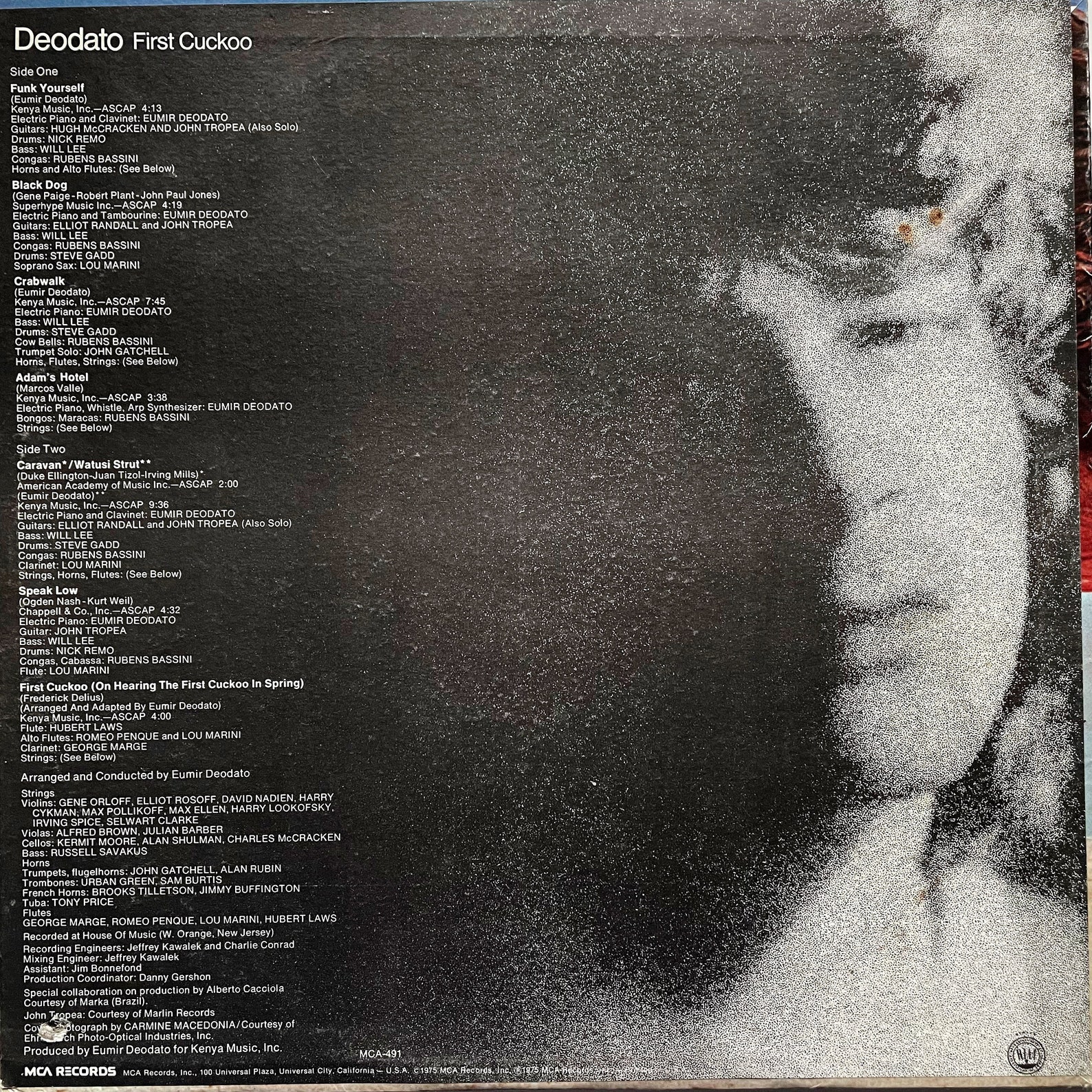 Vintage Fusion LP: First Cuckoo by Deodato MCA 1975 | Etsy