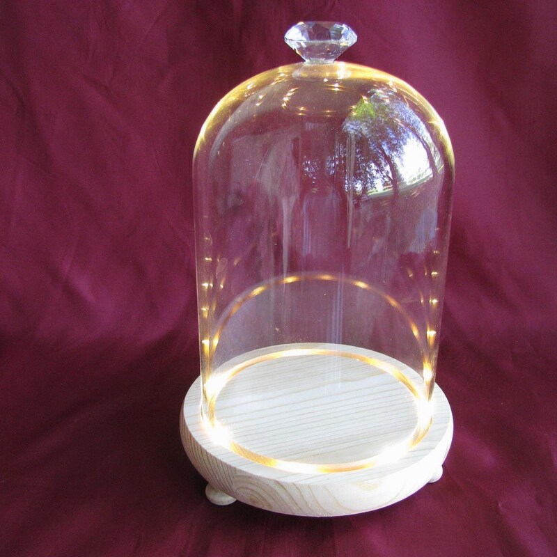 Glass Dome Display - Etsy