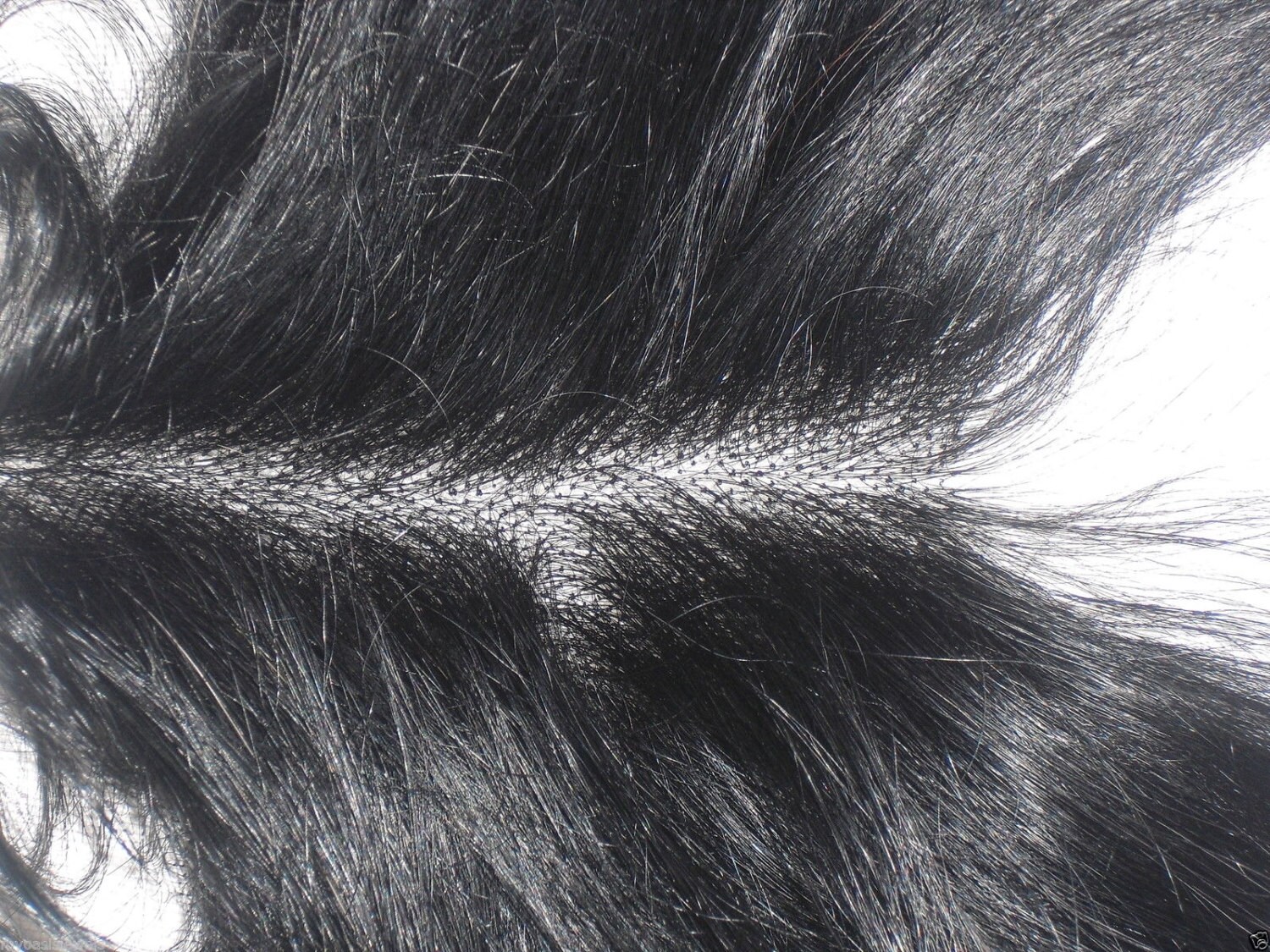 Full Lace Frontal Partial Wig 1 Indian Human Hair Remi Remy - Etsy