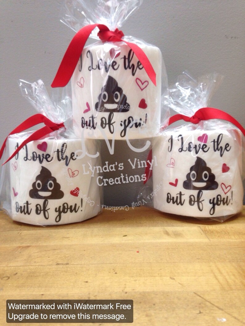 I Love the Poop Out of You//funny Toilet Paper Gag Gift - Etsy UK