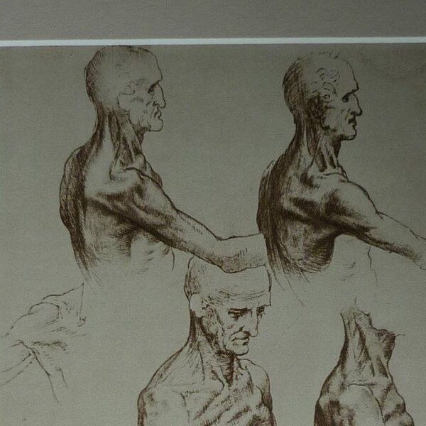 Human Body Study Art - Etsy