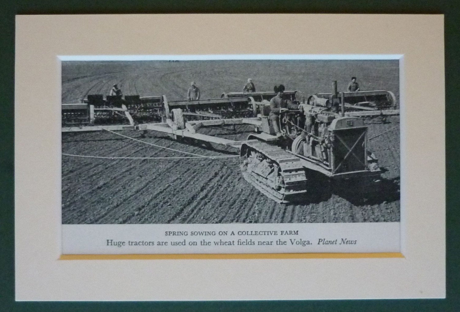 Collective Farming In Russia