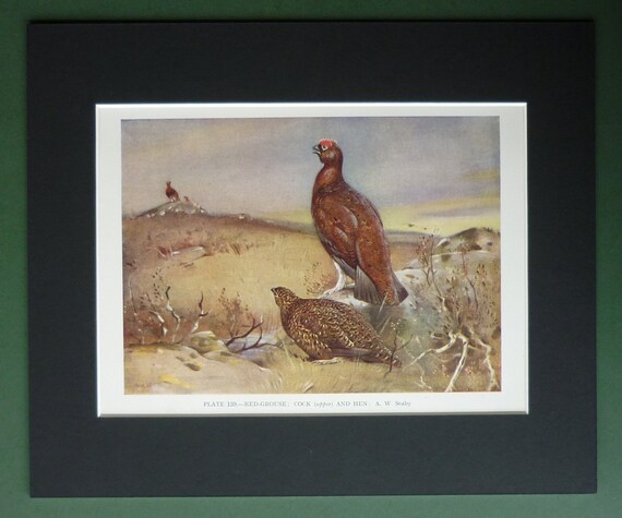 Wall Décor Wall Hangings Home & Living Antique Shooting Gift 1930s ...