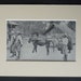 1890s Antique Rodeo Print, Calgary Stampede Decor, Available Framed ...