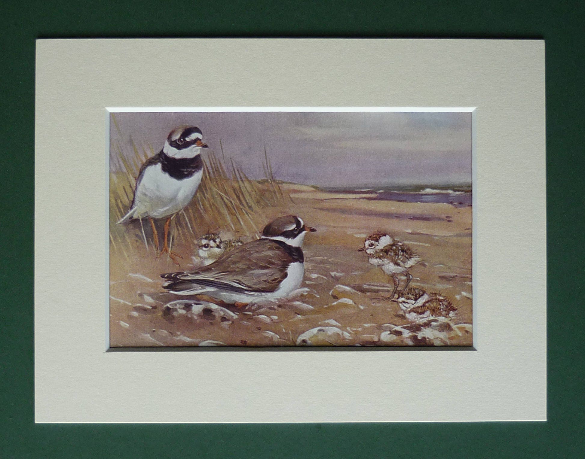 Wall Décor Wall Hangings Home & Living Antique Shooting Gift 1930s ...