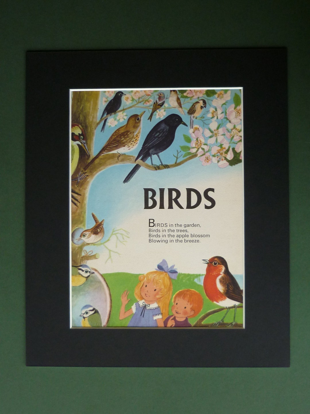 Vintage Children's Bird Print & Poem Robin Red Breast Blue Tits ...