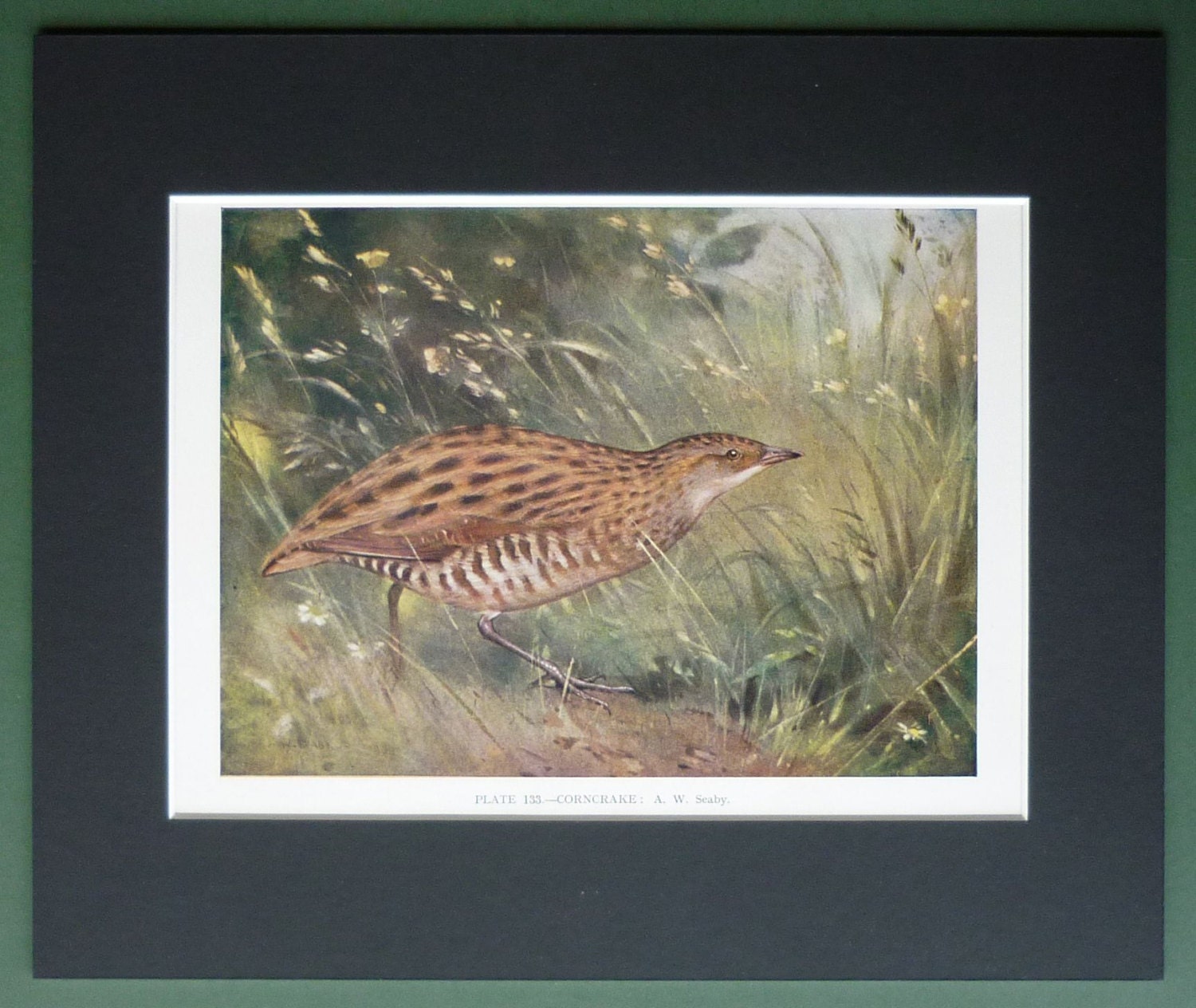 Wall Décor Wall Hangings Home & Living Antique Shooting Gift 1930s ...