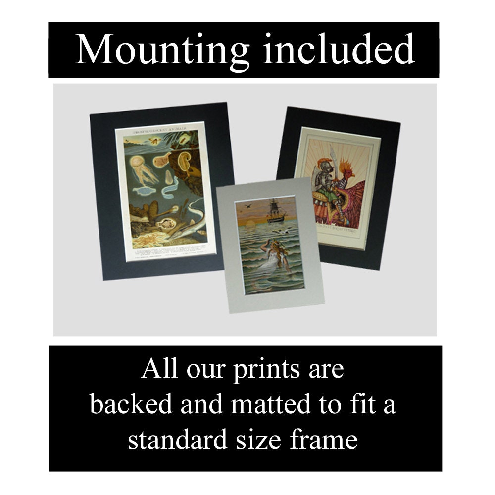 1903 Antique Lithograph Print of St Johns College Old Divinity - Etsy