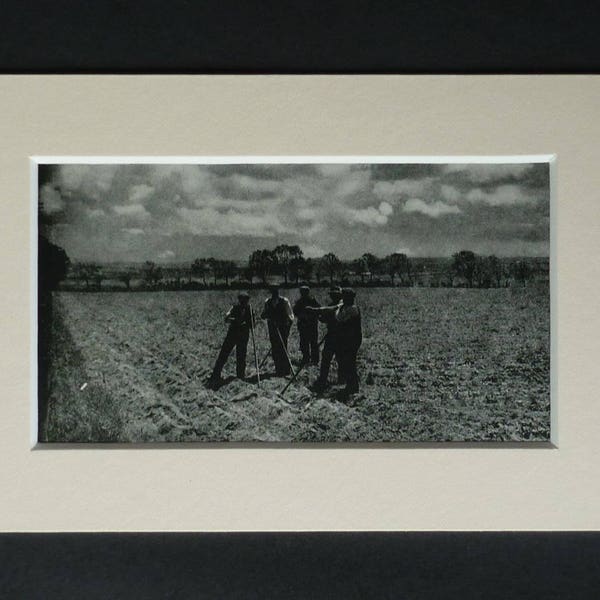 Agriculture Artwork Wall Art - Etsy