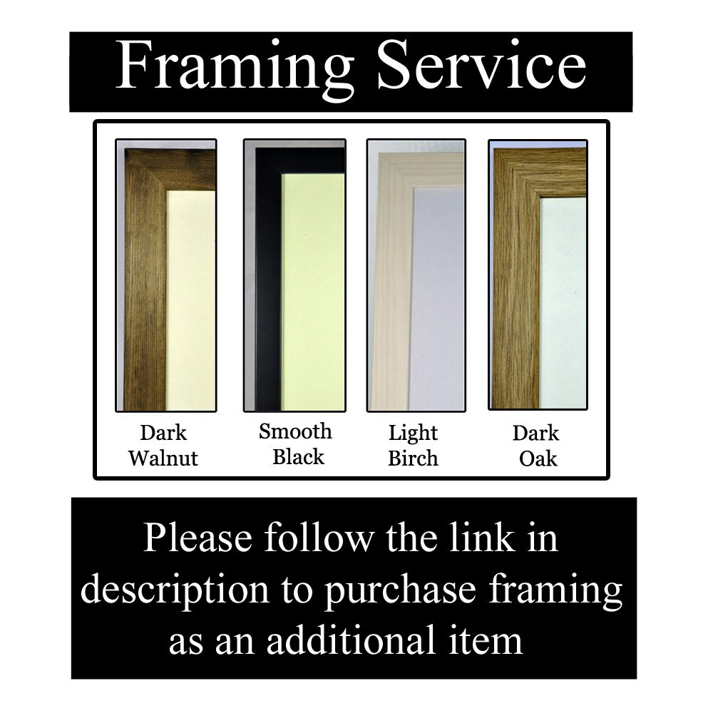 Vintage Arabian Nights Print of Sinbad Cobra Snake Picture - Etsy UK