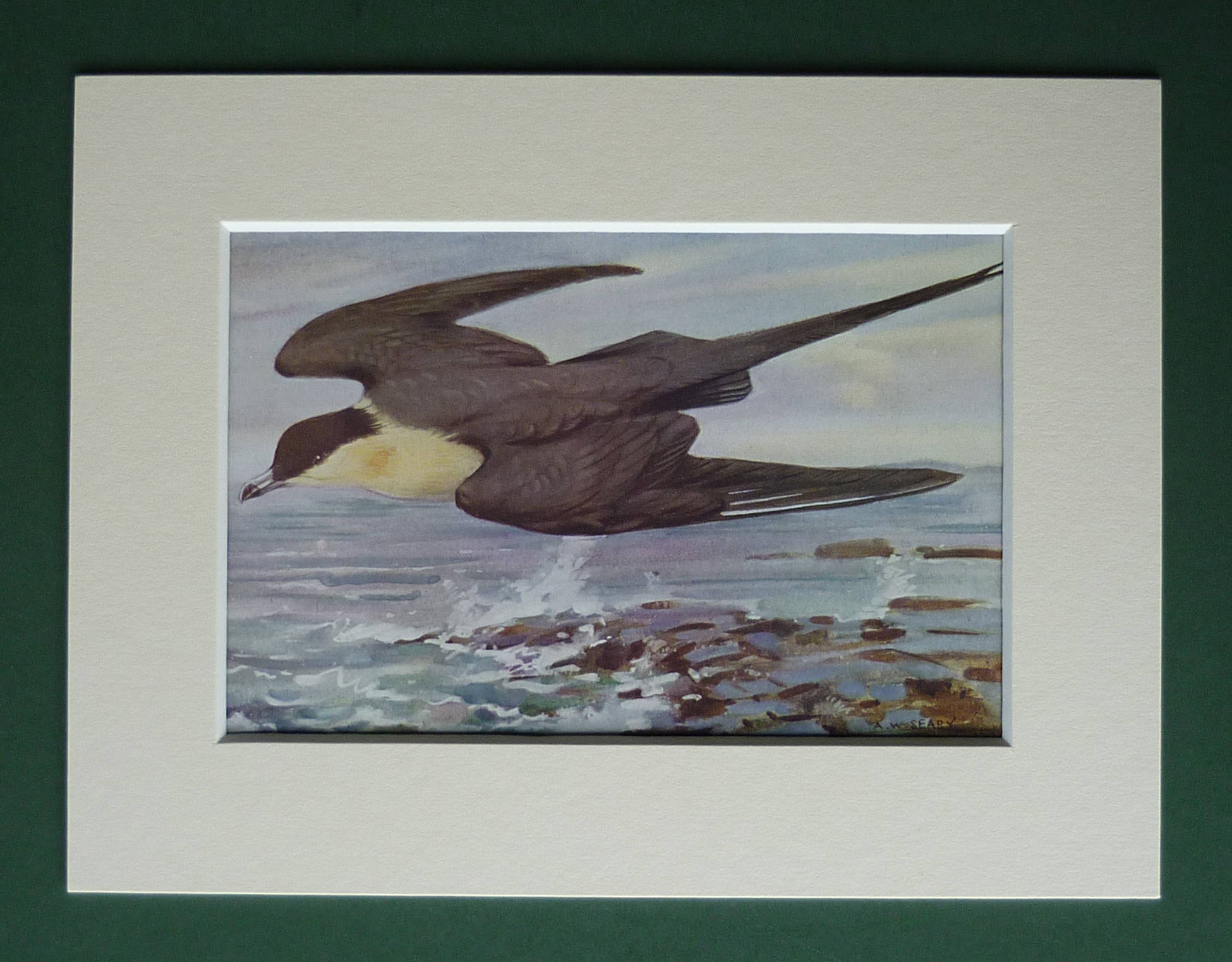 Wall Décor Wall Hangings Home & Living Antique Shooting Gift 1930s ...