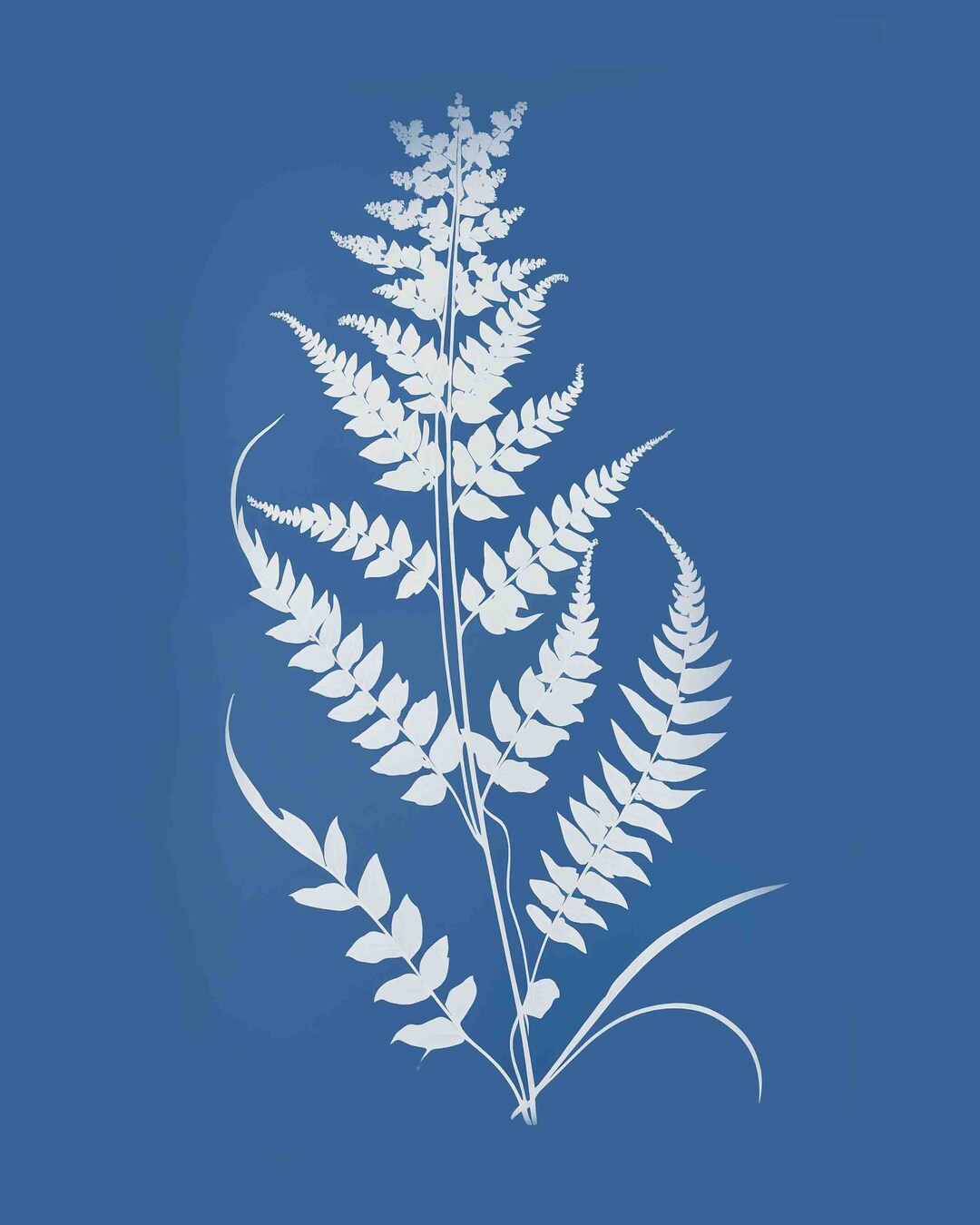 Floral Cyanotype Blue and White Digital Art Print / Instant Download ...