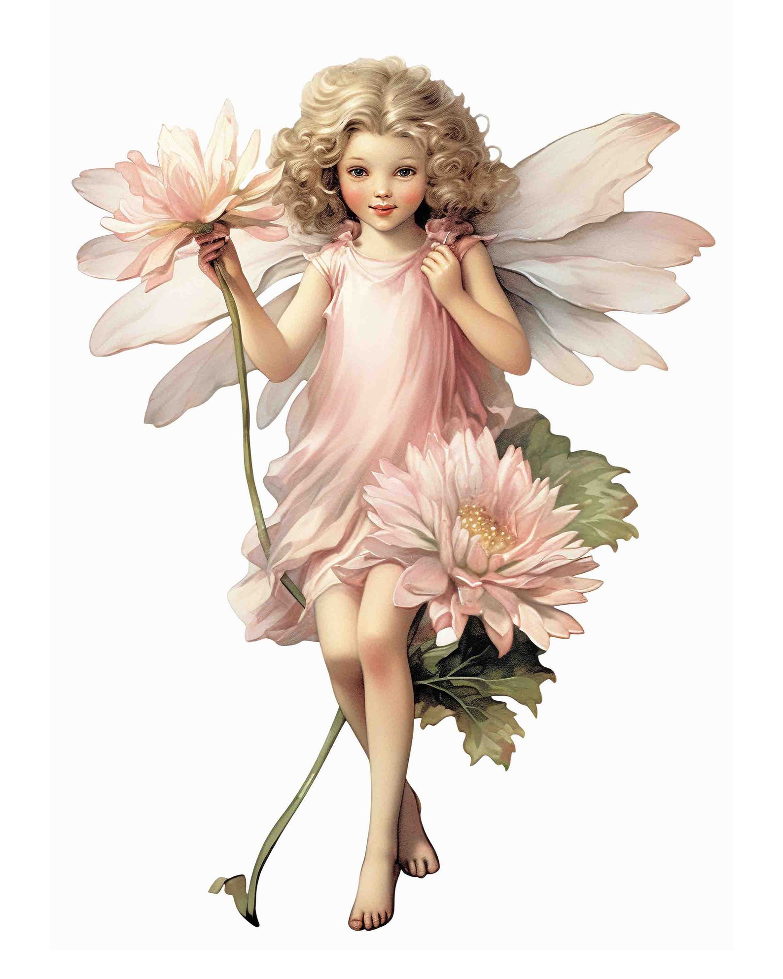 Watercolor Vintage Style Pink Chrysanthemum Flower Fairy - Etsy