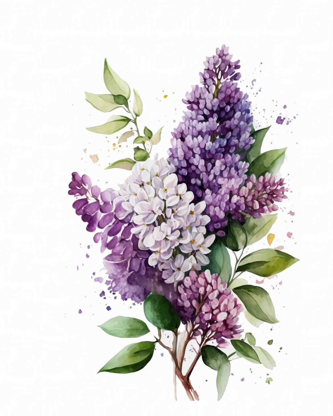 Watercolor Bouquet of Lilac Purple Flowers, Floral Digital Art Print ...
