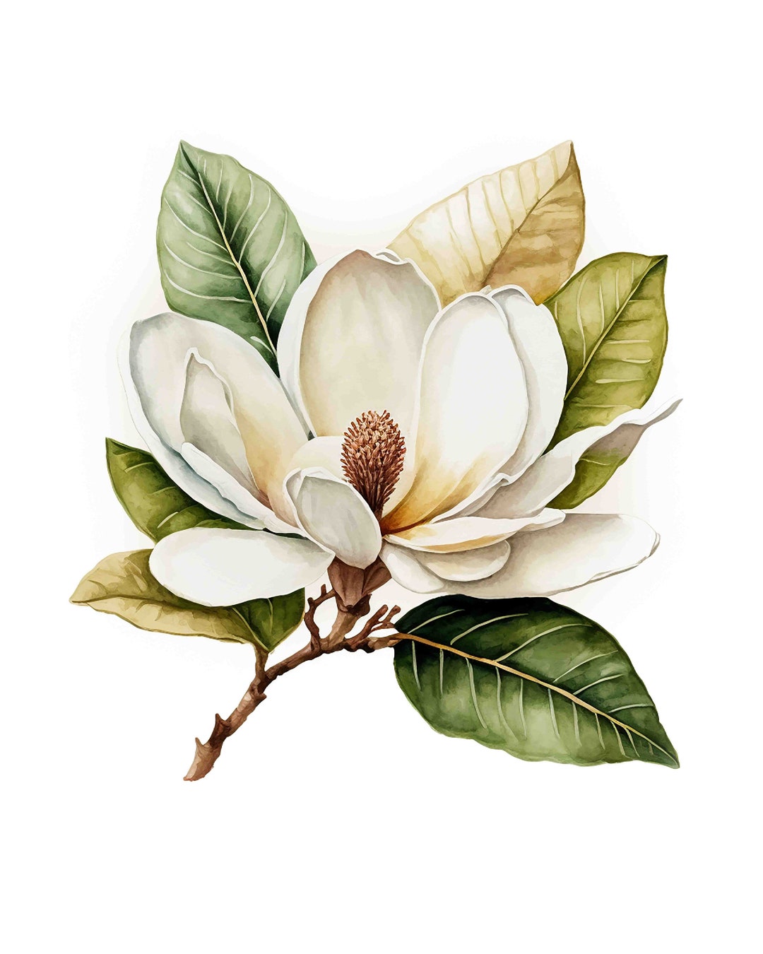 Watercolor White Magnolia Digital Art Print / Instant Download ...