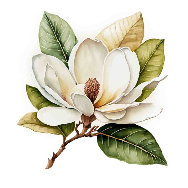 Magnolia Print - Etsy