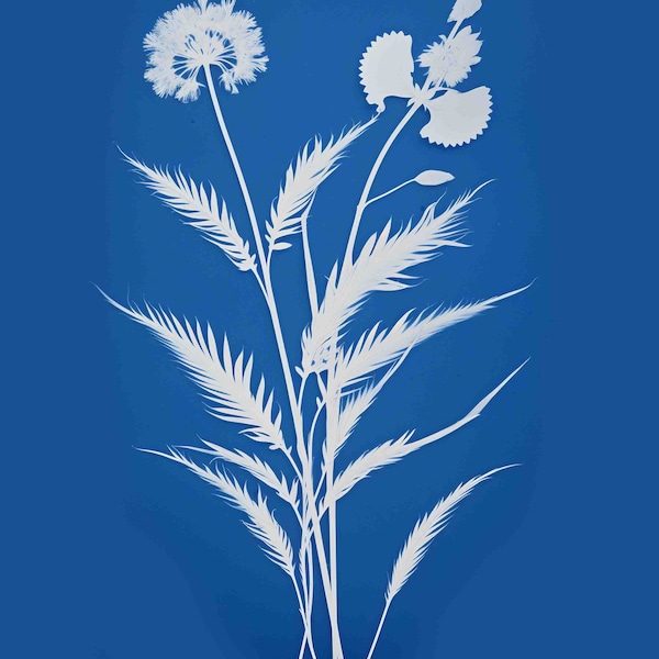 Floral Art Print - Etsy