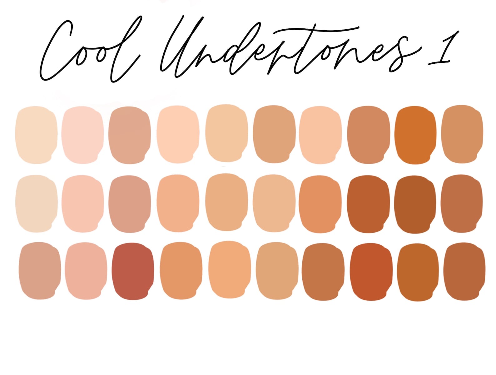 Skin Tones Procreate Color Palette for Ipad 6 Palettes 180 - Etsy Australia