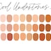 Skin Tones Procreate Color Palette for Ipad, 6 Palettes 180 Colors ...