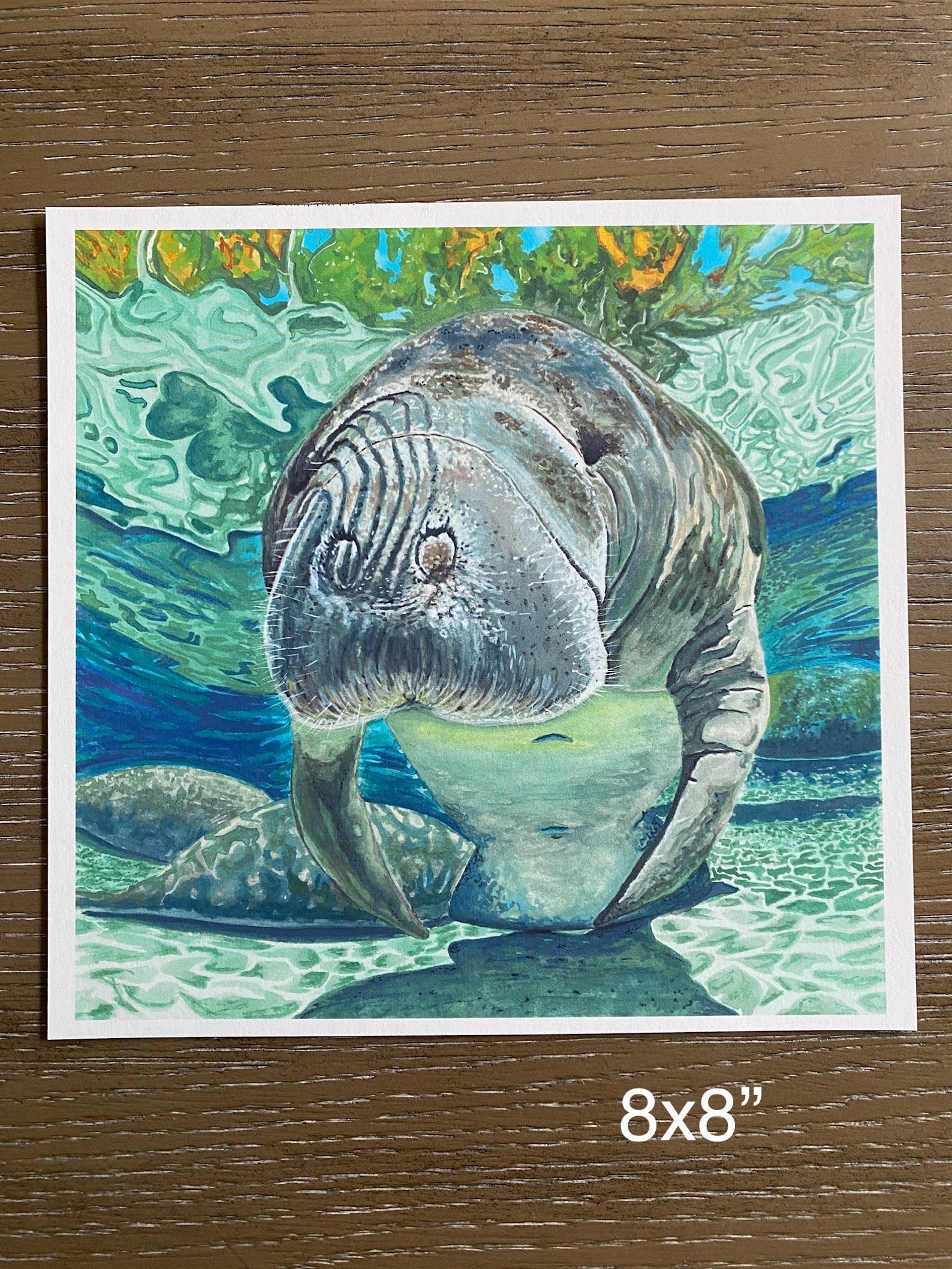 Floating With Manatees Giclee Fine Art Print - Etsy