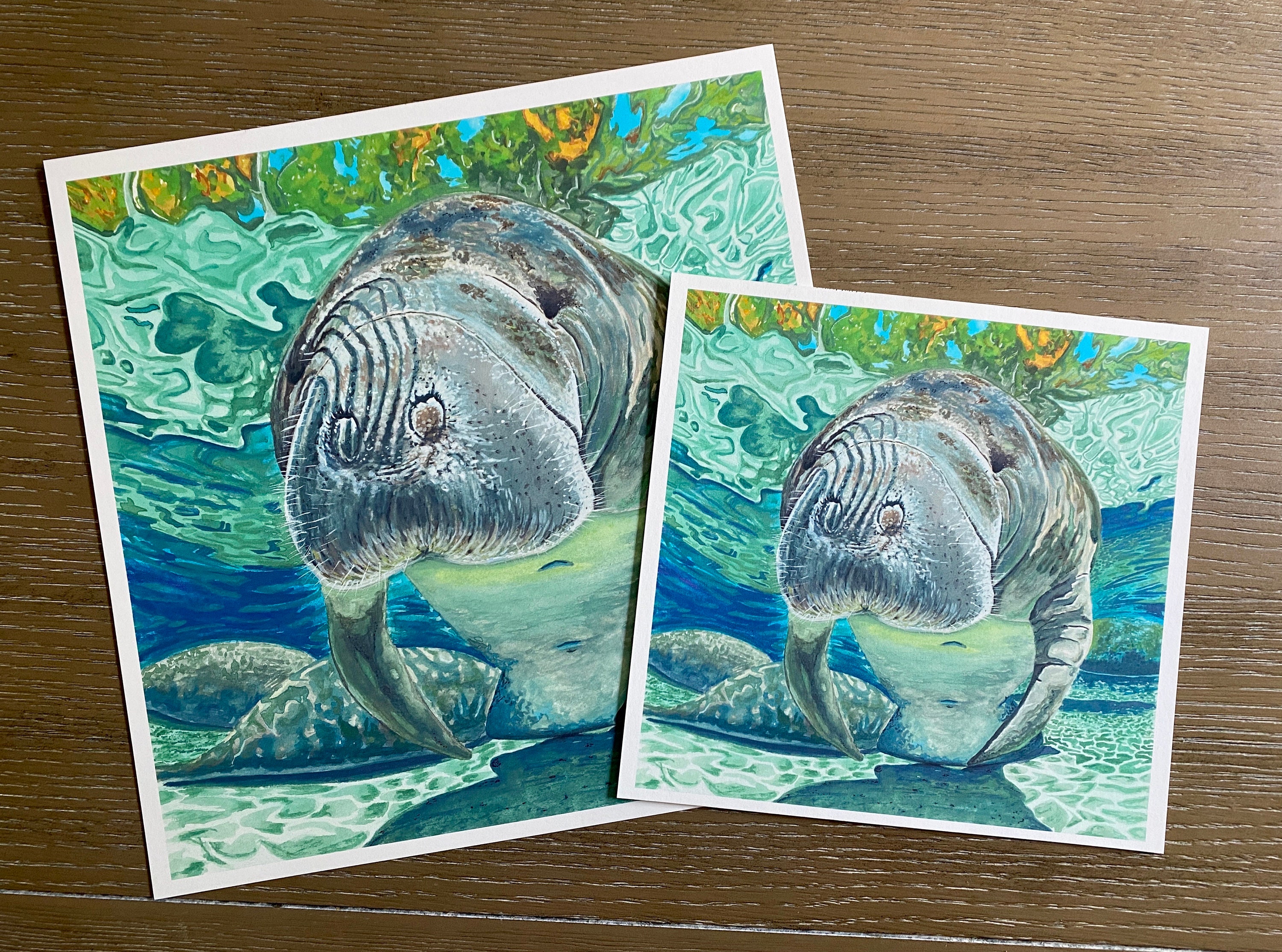 Floating With Manatees Giclee Fine Art Print - Etsy