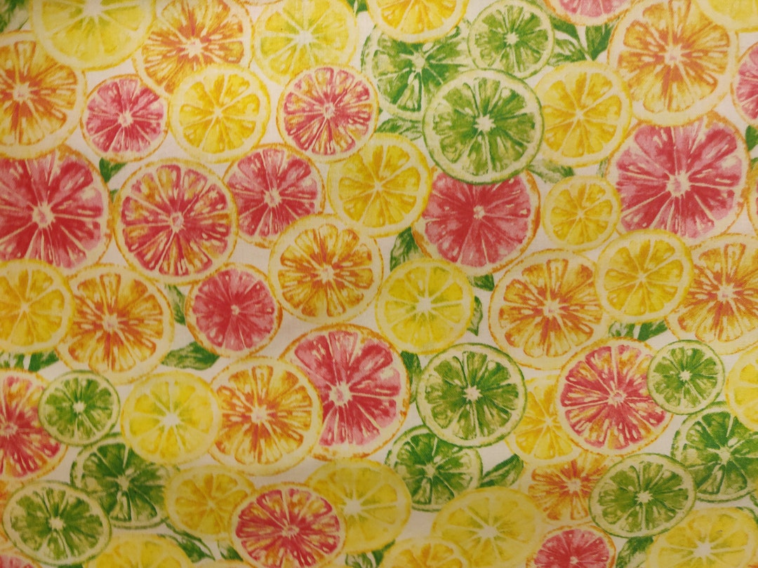 Citrus Slices Fabric, Lemon Lime Slices Fabric, 100% Cotton Fabric ...