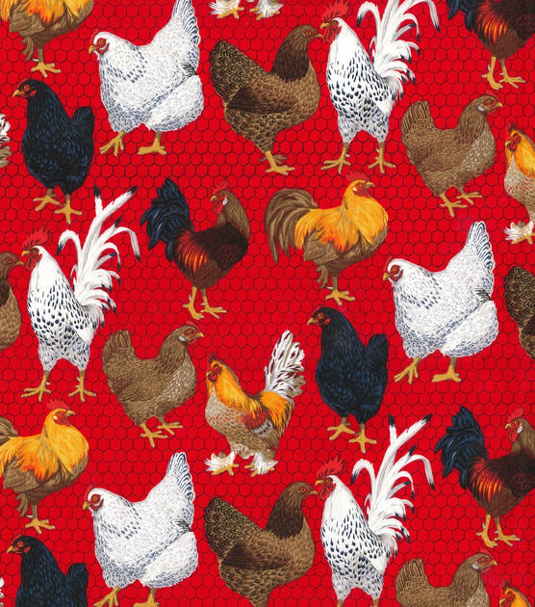 Chicken Fabric, Chicken Wire Fabric, 100% Cotton Fabric, Fabric by the ...