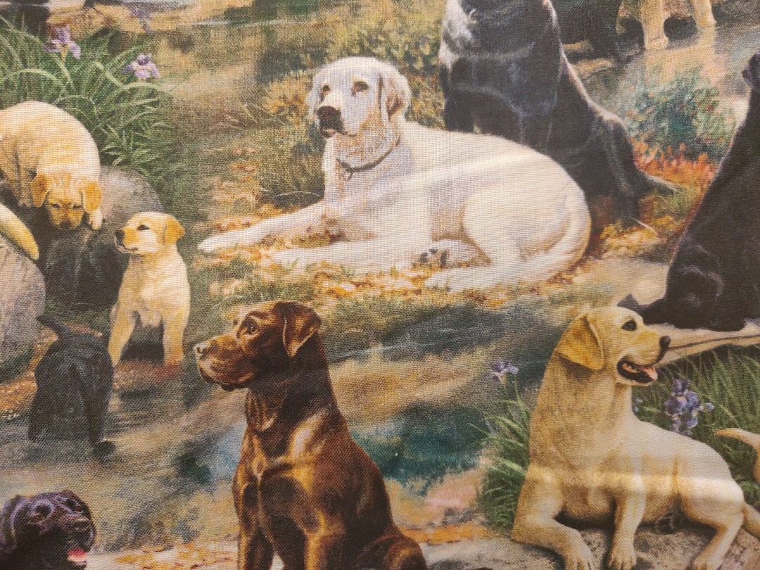 Labrador Retriever Fabric, 100% Cotton, Dogs Fabric, Fabric by the Yard ...