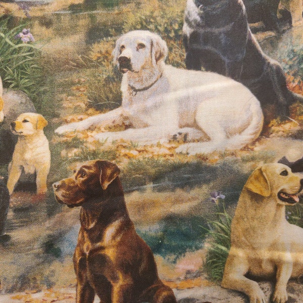 Lab Quilt Panel - Etsy