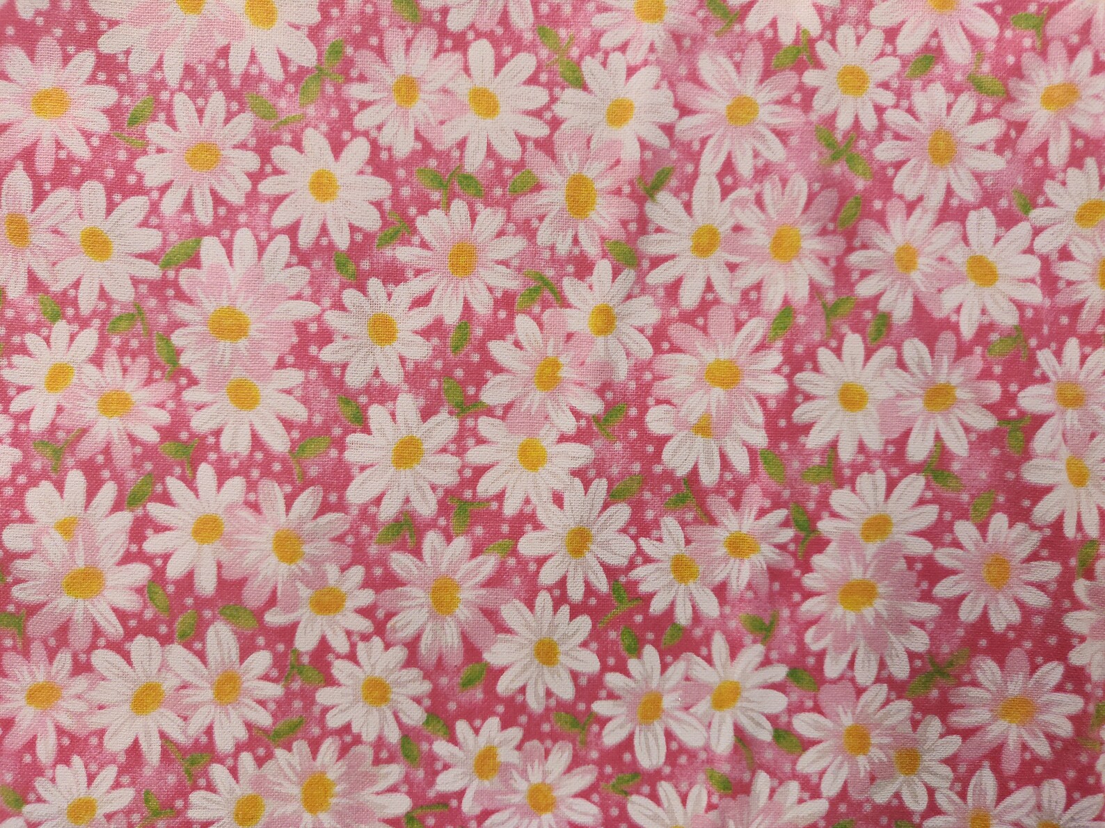 Daisies Fabric, 100% Cotton, Daisy Fabric, Fabric by the Yard, Choose ...